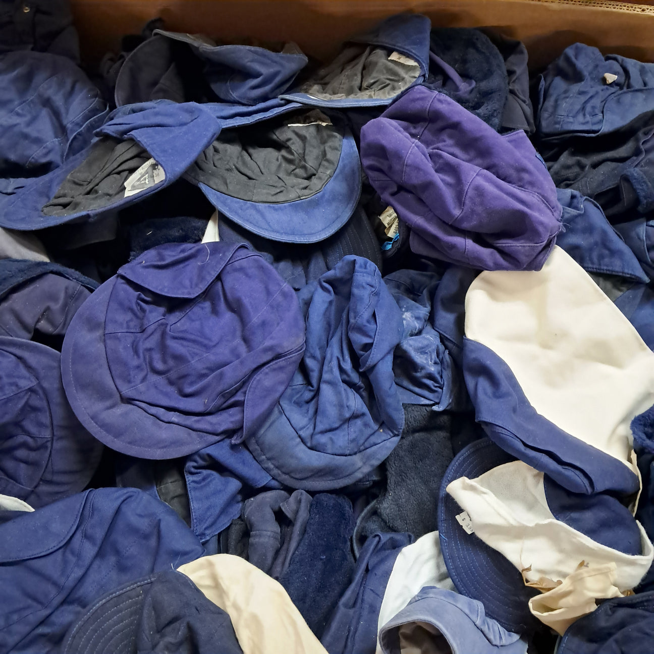 Collections – Covey Surplus